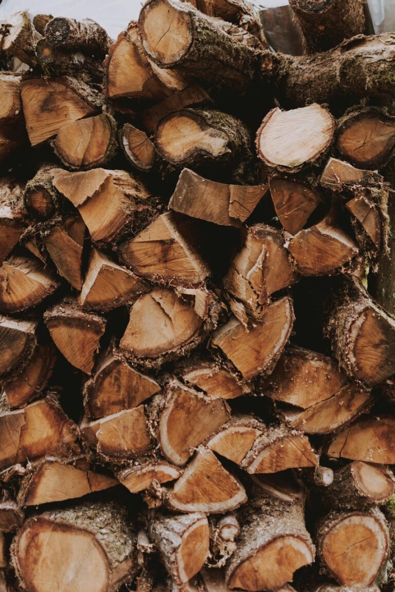 What Is Timber Felling? | Epic Tree Care