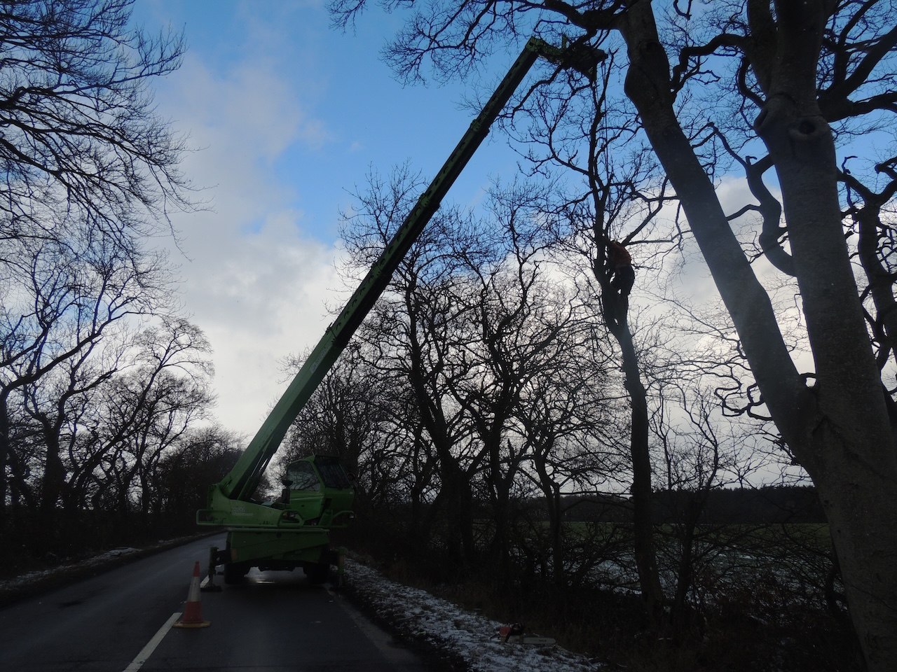 Tree Surgeon Qualifications & Certifications | Epic Tree Care