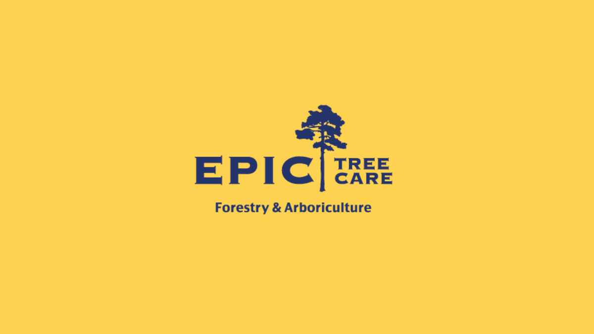 Tree Care Blog | Info & Advice | Epic Tree Care