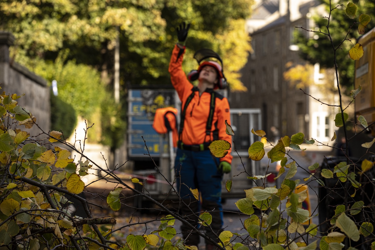 Tree Survey | Tree Planning | Epic Tree Care