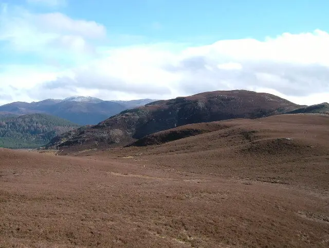 Craig Leek SSSI (Sites of Special Scientific Interest) | Epic Tree Care